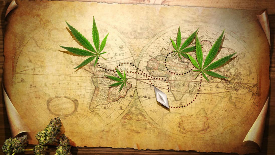 El Origen del Cannabis: Un Viaje en 5 Etapas Históricas 🌿 Golden Fruits